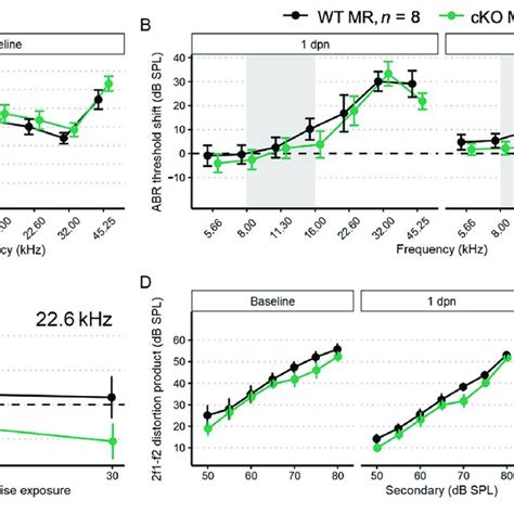 The 226 Khz Abr P1 Amplitude And Latency Mean ± Sem Of Cko Mr And Download Scientific