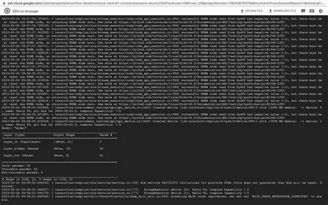 adamw optimizer crashes on model fit for tensorflow macos v2 14 0