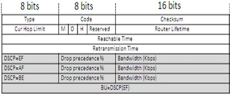 The Format Of Diffserv Router Advertisement Diff Ra Download Scientific Diagram