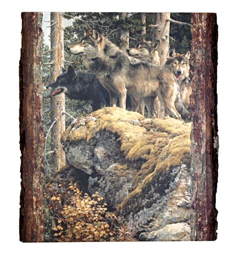 Buy Walnut Hollow Ingrained Art With Bark Edge Lookout Tower By Wolves Online At Desertcartindia