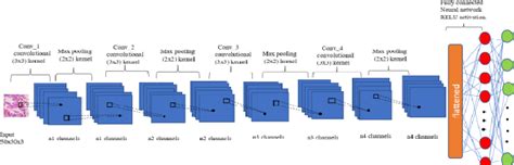 Figure 1 From Ensemble Cnn Model For Lung Cancer Classification
