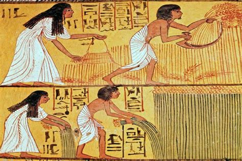 Neper The God Of The Grain Mythlok