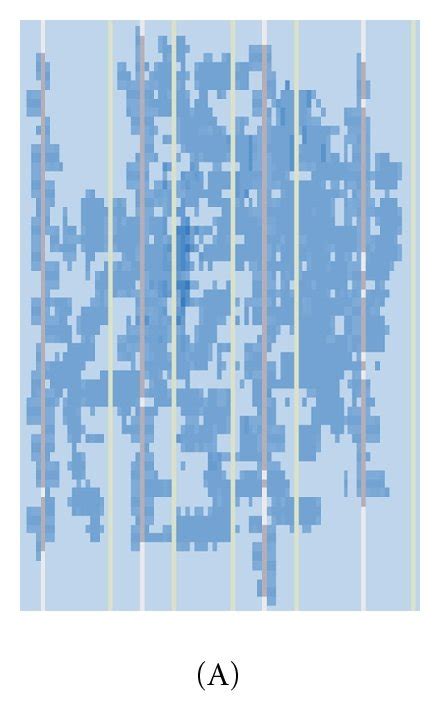 Floorplan Results For The V Blast Architecture Download Scientific Diagram