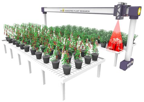 Phenotyping Platform