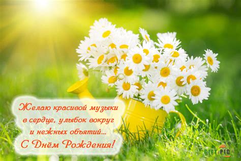 С Днём Рождения Ромашка Давайте поздравим Askee вопросы и ответы