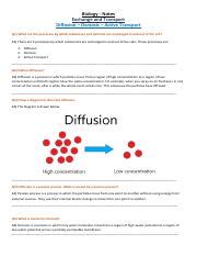 Understanding Exchange And Transport In Biology Diffusion Course Hero