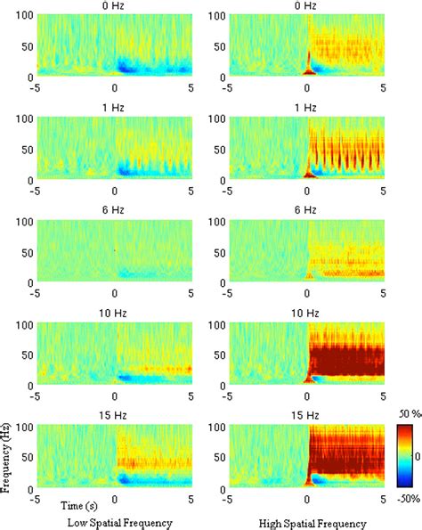 Figure 3 From Spatiotemporal Frequency Tuning Of Bold And Gamma Band