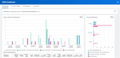 Skills Dashboard Hamilton Lynch Consulting Skills Dashboard Hamilton Lynch Consulting