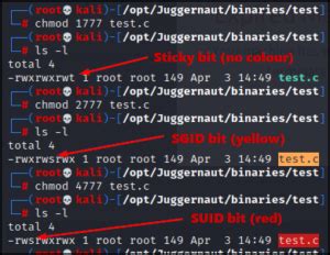 SUID SGID Part Linux Privilege Escalation