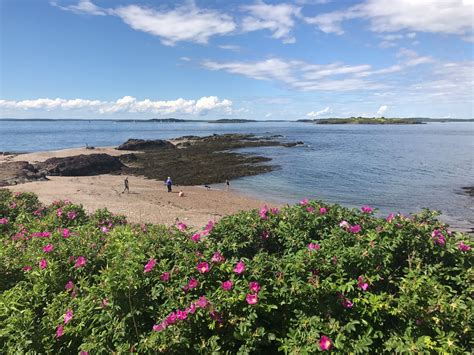 Aaron Scholer On Twitter Robertpeary State Historic Site…