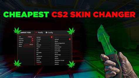 THE CHEAPEST CS EXTERNAL SKIN CHANGER Undetek YouTube