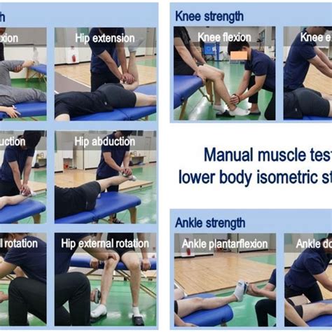 A Impact Variables Impact Force If Peak Vertical Ground Reaction Download Scientific