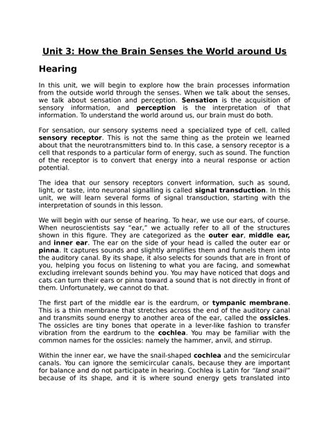 Unit 3 Psyc 255 Lecture Notes 3 Unit 3 How The Brain Senses The