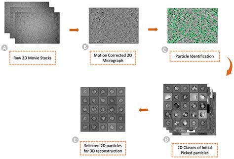 artificial intelligence in cryo em protein particle picking recent