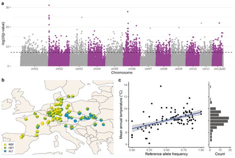 Genotype Environment Associations Reveal Highly Polygenic Architecture Download Scientific