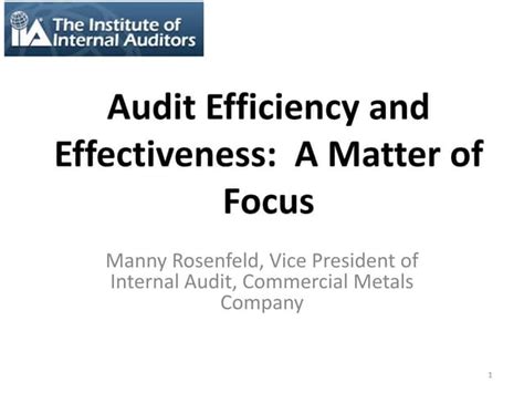 Audit Efficiency And Effectiveness Pptx