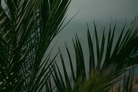 Techy Background Photos Download The Best Free Techy Background Stock