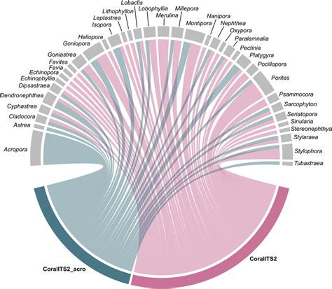 Genus‐level Chord Diagram Of Coral Detections Across The Two Assays And Download Scientific