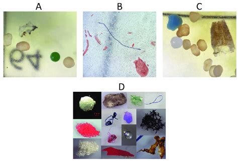 What Are The Types Of Microplastics Plastic Industry In The World
