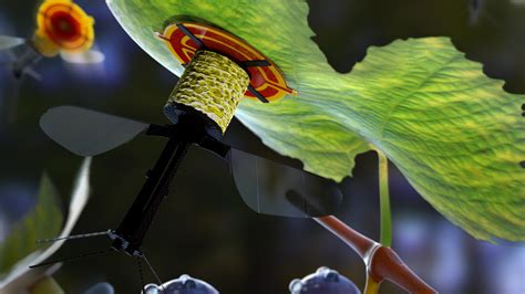 A Tiny Robot That Can Fly And Amazingly Rest The New York Times