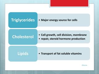 Lipid Metabolism Atherosclerosis A Brief Review PPTX