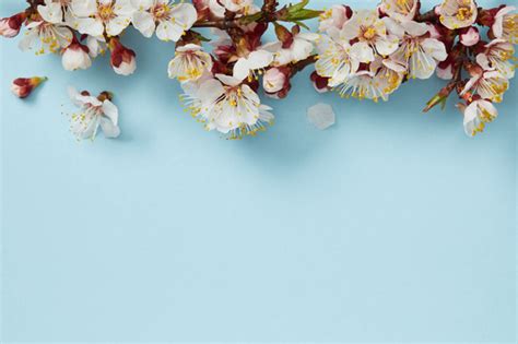 Природа Зображення стокові фотографії та картинки Природа