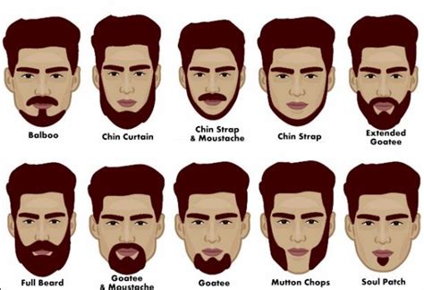 Male Chin Types