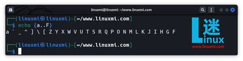 在 Bash Shell 中使用花括号扩展 Linux迷 在 Bash Shell 中使用花括号扩展 Linux迷