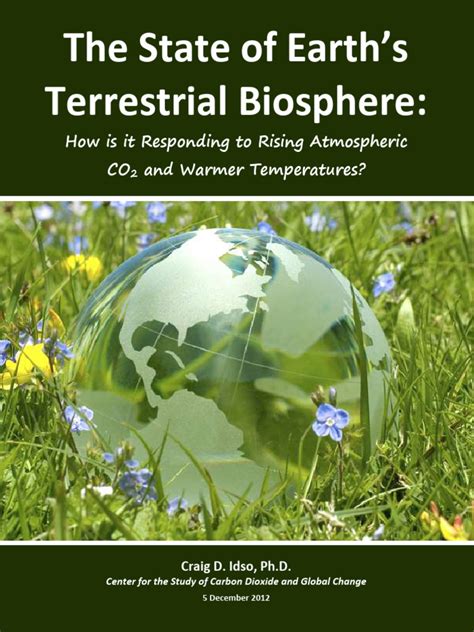 The State Of Earths Terrestrial Biosphere Pdf Carbon Cycle Carbon