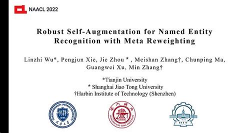 underline robust self augmentation for named entity recognition with