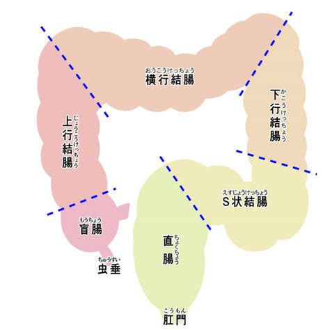 10 Courbe Sigmoïde Illustrations Stock Illustrations Graphiques Vectoriels Libre De Droits Et
