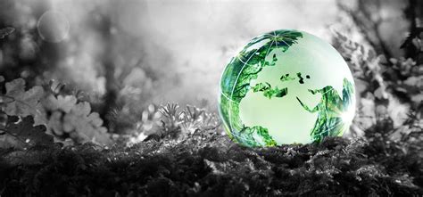 Sap Calculations Itd Consultants