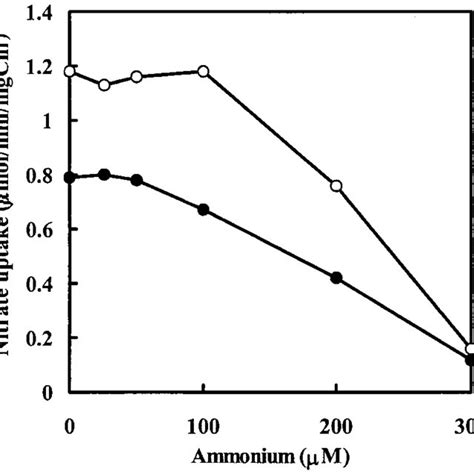 Initial Rates Of Nitrate Uptake As A Function Of Nitrite Concentrations