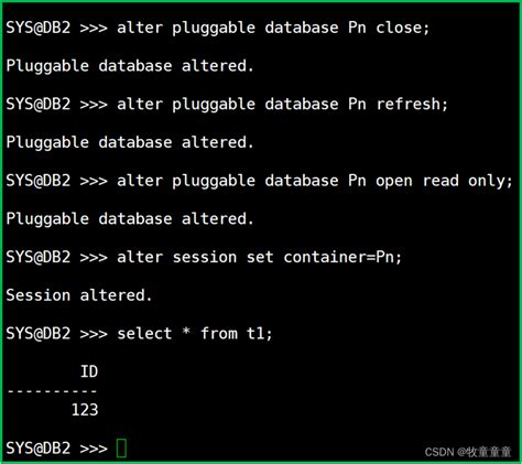 Oracle Pdb Csdn博客 Oracle Pdb Csdn博客