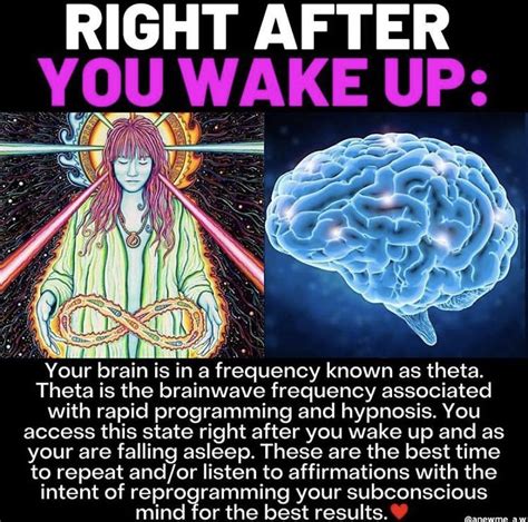 Quantum Consciousness The Guide To Experiencing Quantum Psychology Artofit