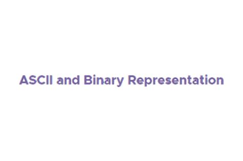 Binary Numbers