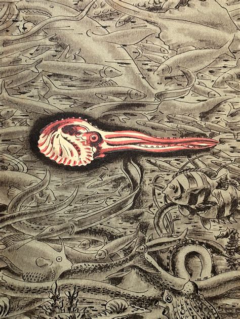 Currents Minor Fossil