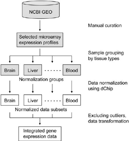 Schematic Diagram Of Microarray Data Normalization And Integration Download Scientific Diagram