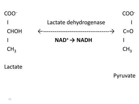 lec4 level3 deenzymescoenzymescofactors 130202042833 phpapp01 pdf
