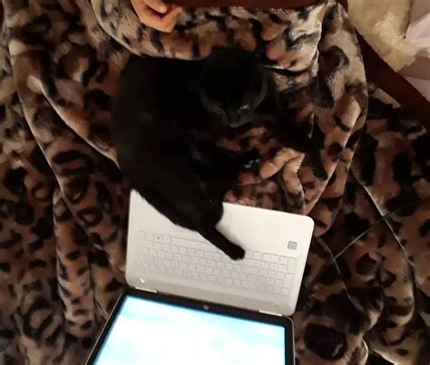 Multi Tasker Scrolller