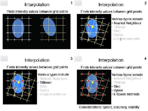 Statistical Parametric Mapping Lecture Chapter Head