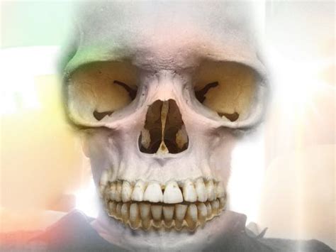 Canale Di Dmail Porn300 Com