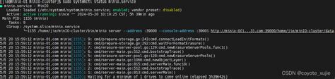minio 集群搭建 minio 端口 csdn博客
