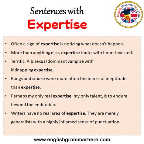 Sentences With Expertise Expertise In A Sentence In English Sentences