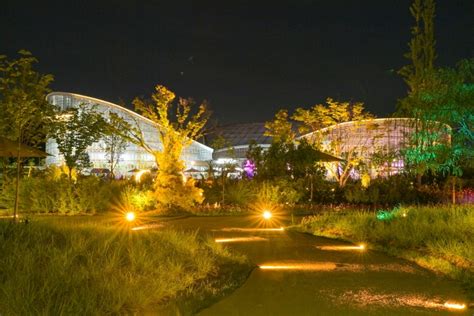 국립세종수목원 야간개장 ＂특별한 夜행＂ 세종특별자치시 가볼만한곳 관광지랭킹