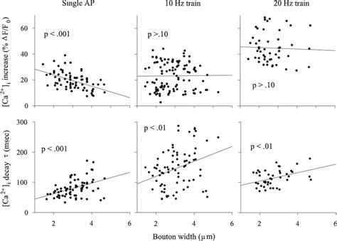 The Relationship Between Bouton Size And Ca 2 Transients For The Mf4