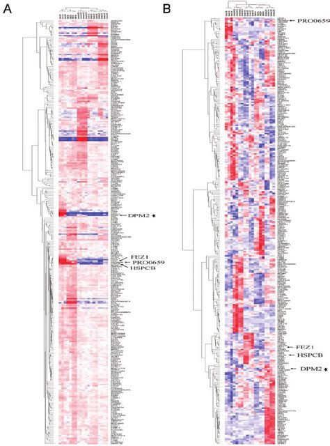 Hierarchical Clustering Of Alternative Splicing For Five Human Tissues Download Scientific