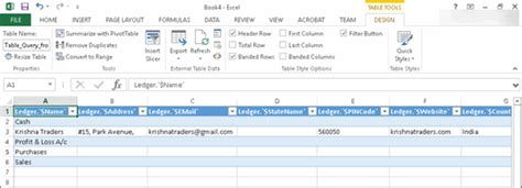 Extracting Ledger Master Data To Microsoft Excel Using ODBC Tally Master Tally Star Partner