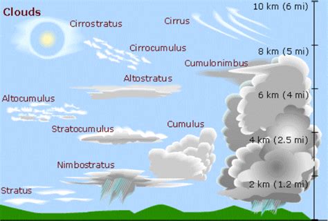 Types Of Clouds Diagram