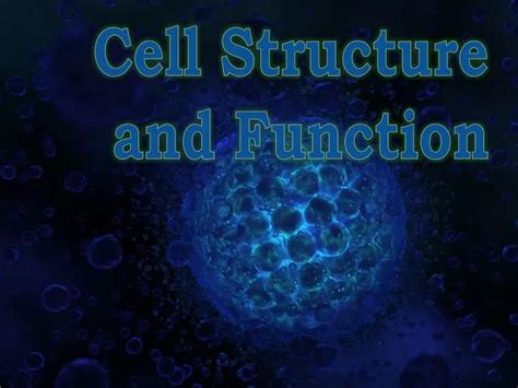 PPT Cell Structure And Function PowerPoint Presentation Free Download ID